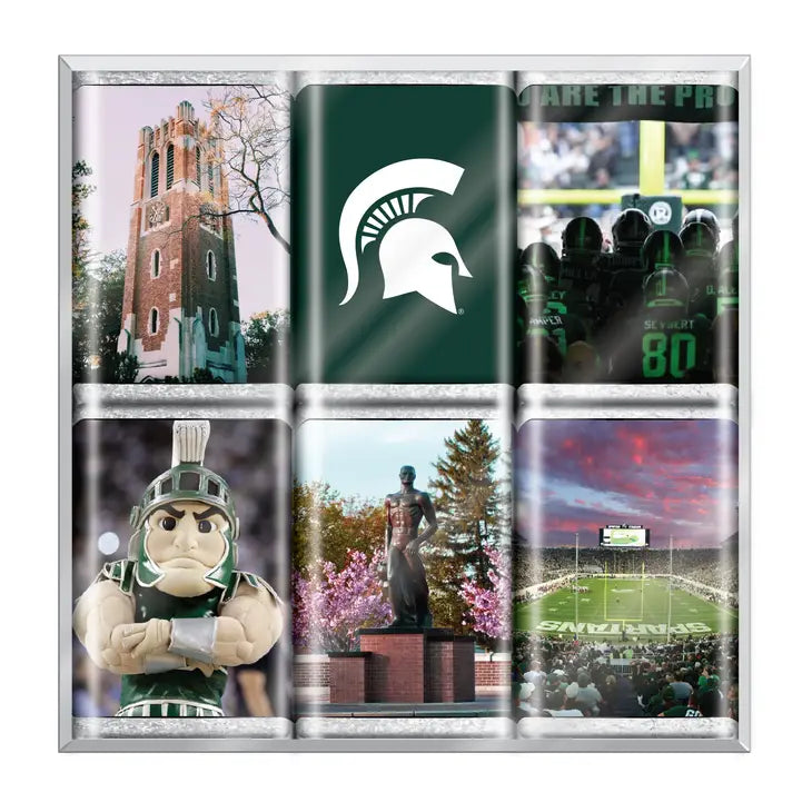 Michigan State Spartans Chocolate Bars – Ivory Vines